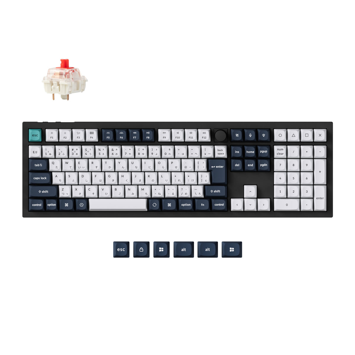 Japan JIS Keyboards – Keychron | Mechanical Keyboards for Mac, Windows ...