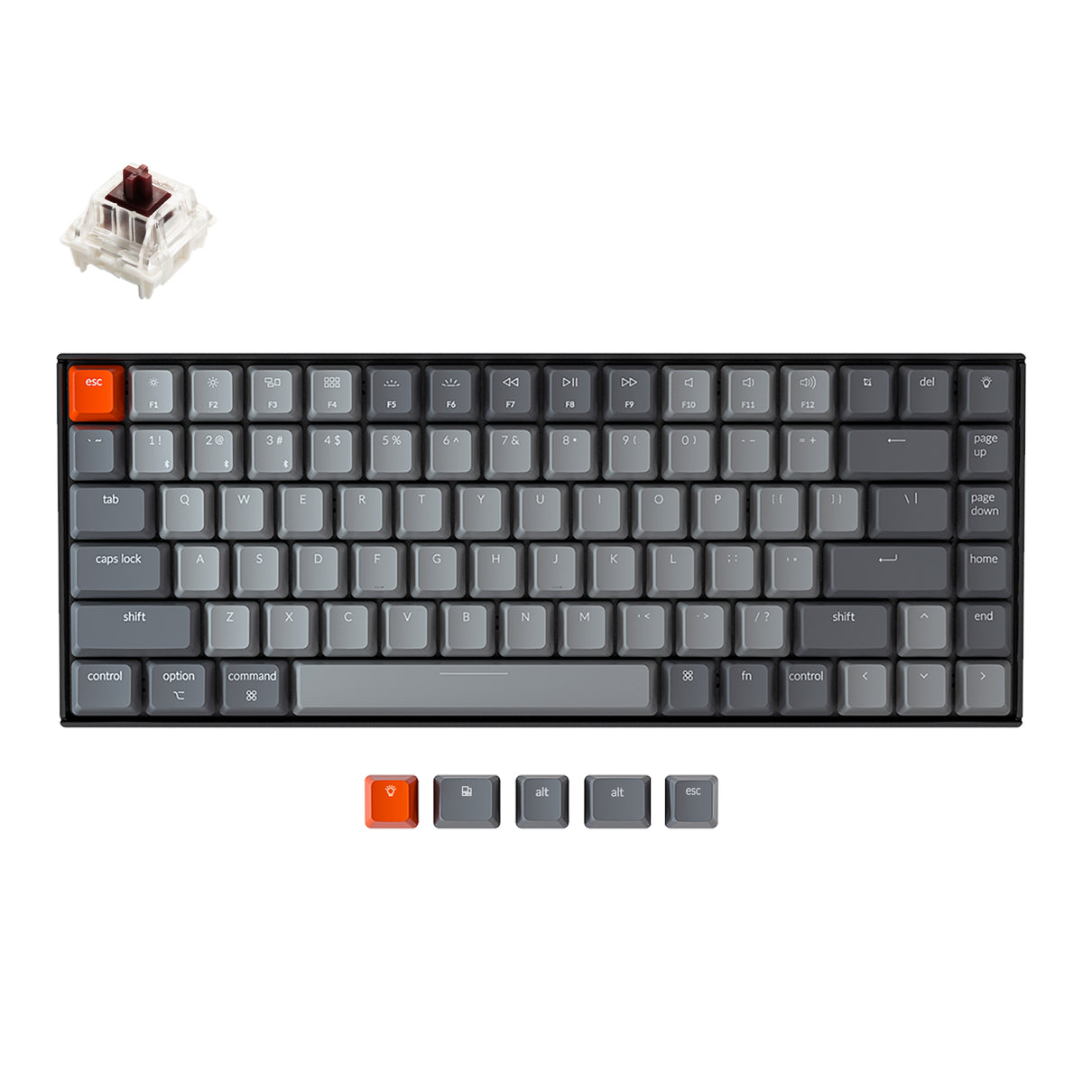 Keychron K Series Keyboard – Keychron | Mechanical Keyboards for Mac ...