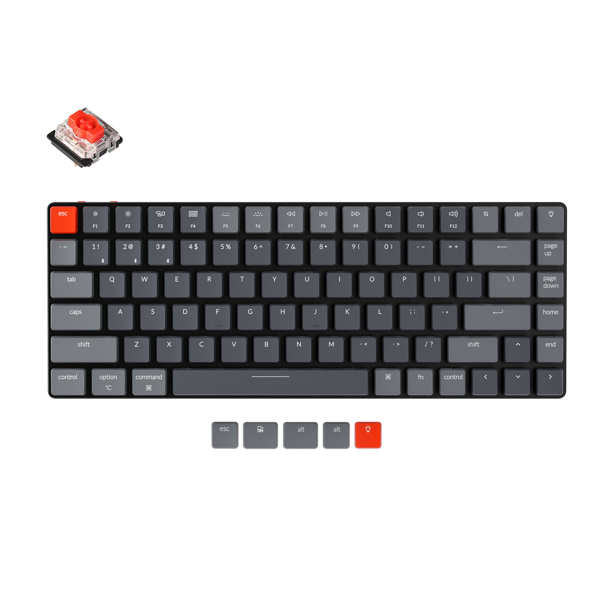 Keychron Keyboard Collections – Keychron | Mechanical Keyboards for Mac ...
