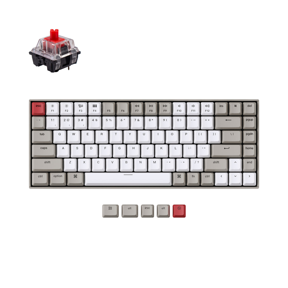 75% Layout Keyboards – Keychron | Mechanical Keyboards for Mac, Windows ...